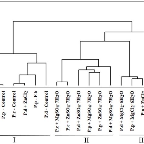 dendrogram presenting similarity between the analyzed objects