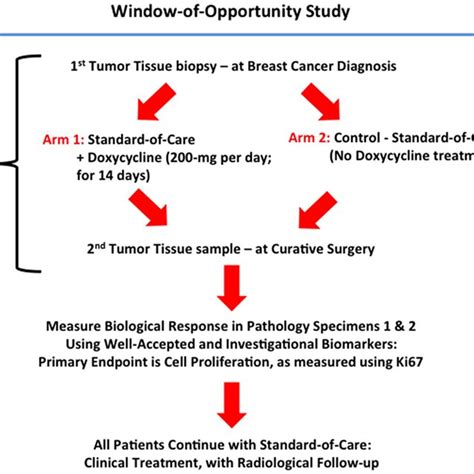 Effects Of Doxycycline Administration On The Expression Of Six
