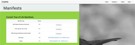 Exploring Manifest Wizard Copo Project Documentation