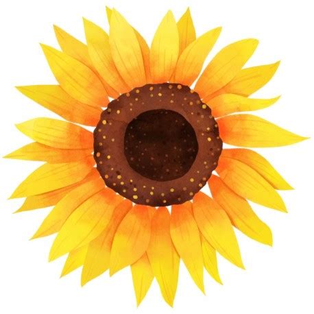 Autocollant Mural Tournesol Chambre Sticker A Moi Etiquette Autocollant