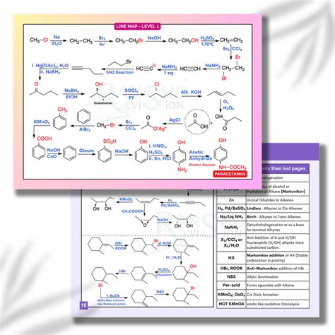 Best Short Notes Neetug Flashcards Ransho Revision