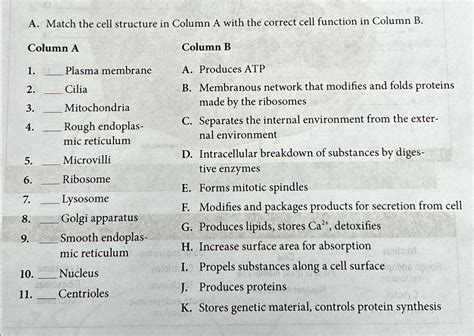 solved a match the cell structure in column a with the correct cell