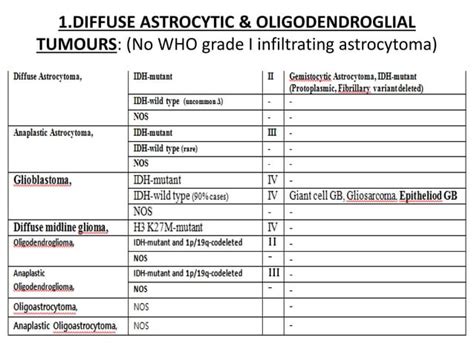 Cns Tumors Who Classification 2016 Ppt