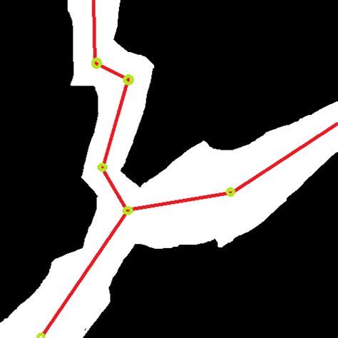 Opencv How To Get Vector Data In Skeletonization Stack Overflow