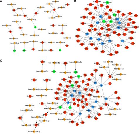 Mirna Target Gene Transcription Factor Tf Target Gene And