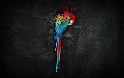 Dark Bird Wallpapers Wallpaper Cave