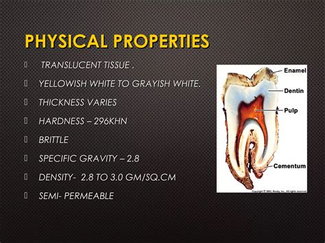 Enamel Ppt Dental Health Diseases And Conditions