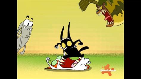 Gordon Waffle Blik And Sea Bear Catscratch Youtube