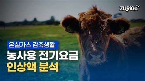 전기요금 인상 농사용 전기요금 인상액 분석 Youtube