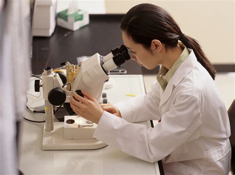 How To Use A Microscope Light Microscopes Use Lenses To Magnify Things In Small Detail