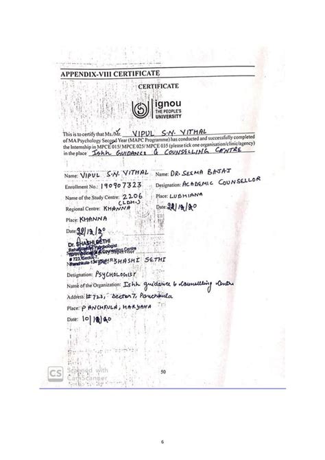 IGNOU Sample Internship File For MPCE015 PDF