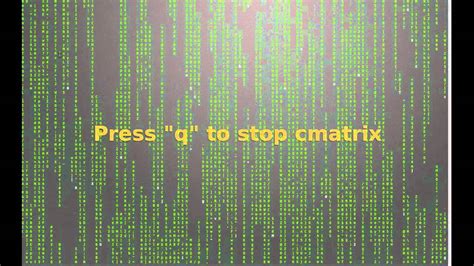 How To Cmatrix Get A Matrix Effect In Your Terminal Youtube