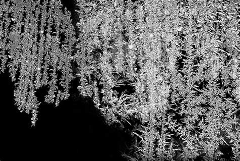 Free Frost Overlay Collection 100 Photoshop Overlays