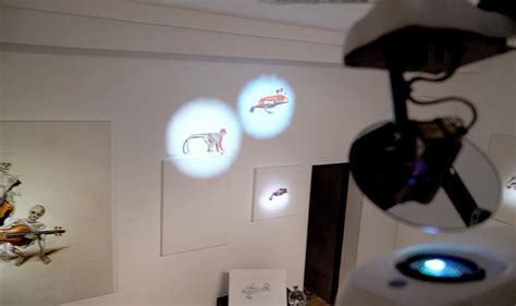 Dynamic Projection
