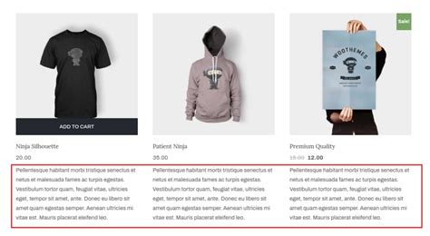How To Display Product Description On WooCommerce Shop Page CodexCoach