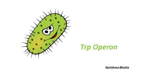 Trp Operon Ppt