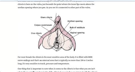 Clitoral Stimulation Techniques For Female Orgasms Youtube