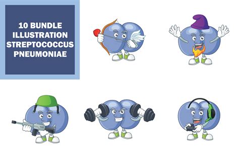 Streptococcus Pneumoniae Bundle Graphic By Kongvector2020 · Creative