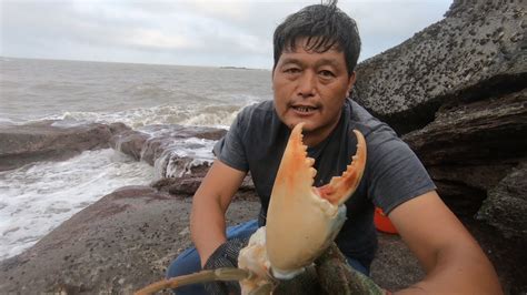 刮大风阿阳跑去赶海，走大运碰上超大青蟹，钳子比阿阳拇指大三倍 Youtube