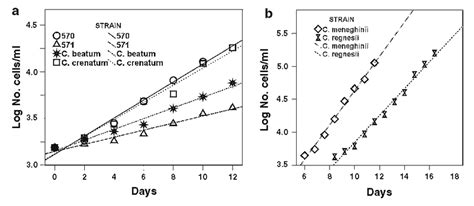 Linear Regression Calculated From The Changes Of Log Cell Number Ml Of Download Scientific