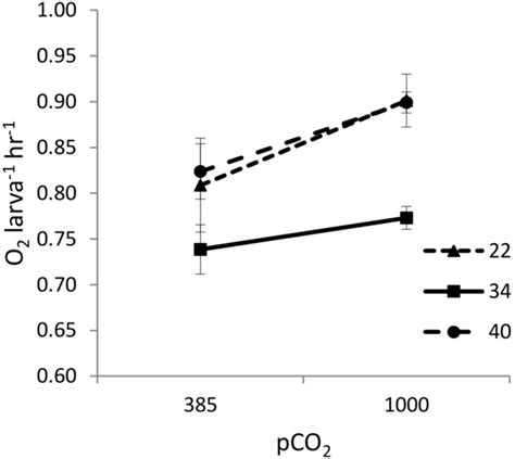 Dissolved Oxygen Bacteria At Gwen Mayer Blog