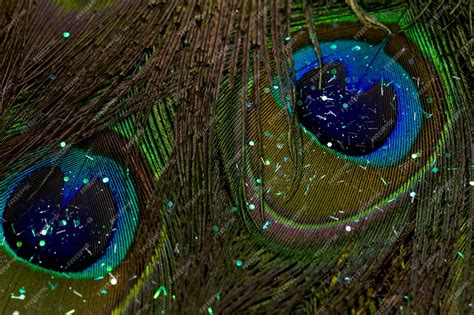 Premium Photo Vibrant Peacock Feather Backdrop