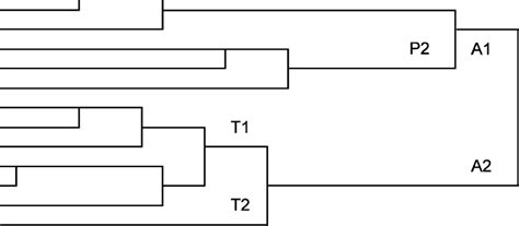 Dendrogram Using Average Linkage Within Group Download Scientific Diagram