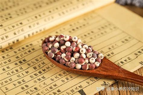 看似普通的芡实为何被誉为水中人参 知乎