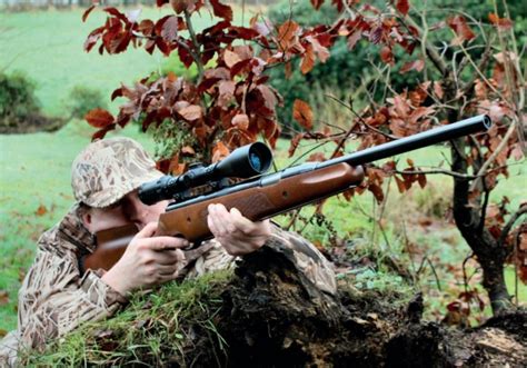 Air Arms Pro Sport Spring Air Rifle Reviews Gun Mart