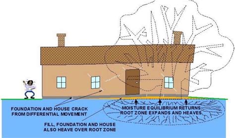What Are The Causes Of Foundation Heave Theconstructor Org