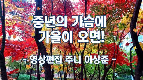 Ai 작곡 노래 중년의 가슴에 가을이 오면 Youtube