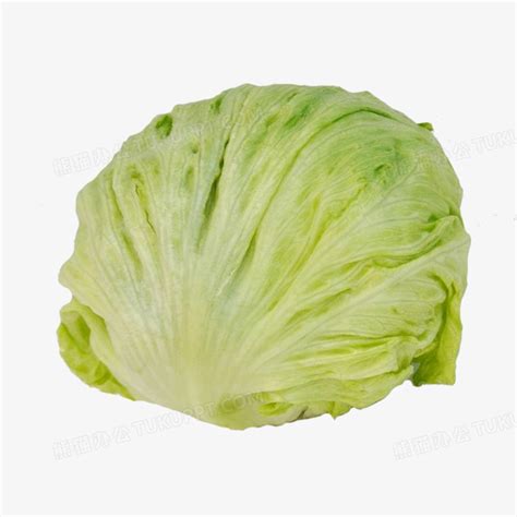 结球生菜png图片素材下载生菜png熊猫办公