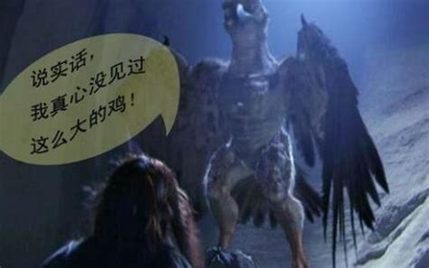 《神雕侠侣》五个版本“雕兄”对比，这一版最丑但也最符合原著