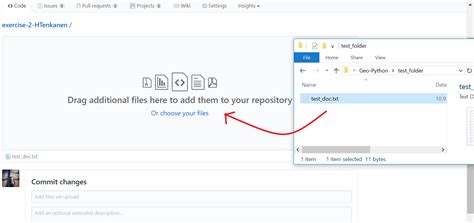 Working On The Assignments — Geo Python 2017 Autumn Documentation