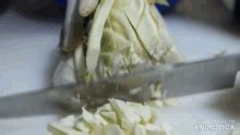 Food Processing Food Processing Discover Share GIFs