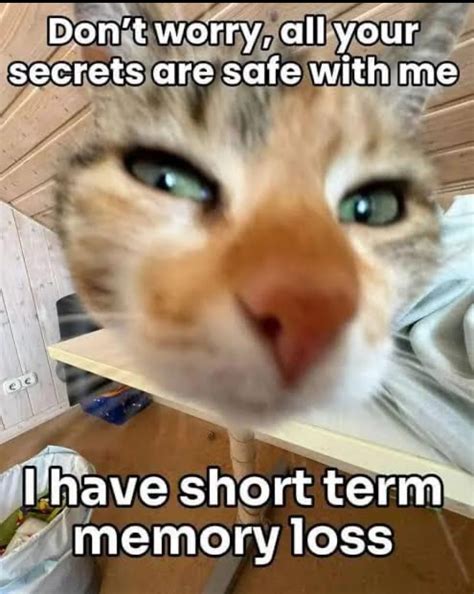 Memory Problems Memes