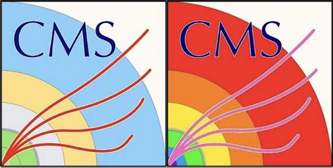 30 Years Of Cms Cms Experiment
