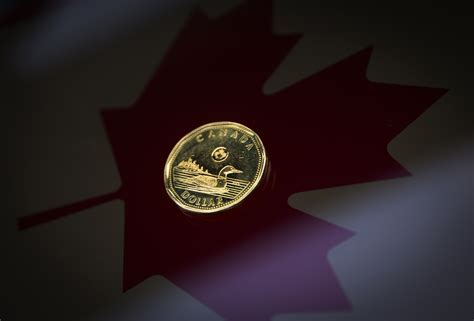 Canadian Dollar Gets A Lifeline As Oil Rallies Reuters