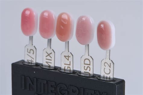 Gingiva Shade Guide By Ids Integrity Dental Services
