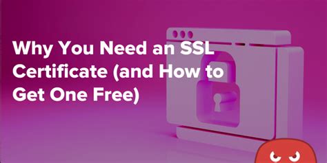 Why You Need An SSL Certificate And How To Get One Free The HOTH