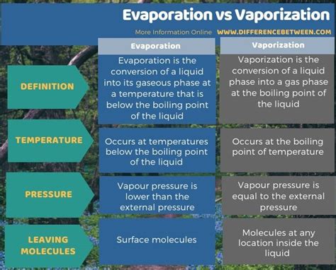 Difference Between Evaporation And Vaporization 3 Evaporation Cell