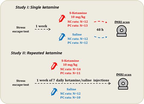 氯胺酮反复治疗对脑拓扑结构的影响并不表明具有抗抑郁功效。translational Psychiatry X Mol