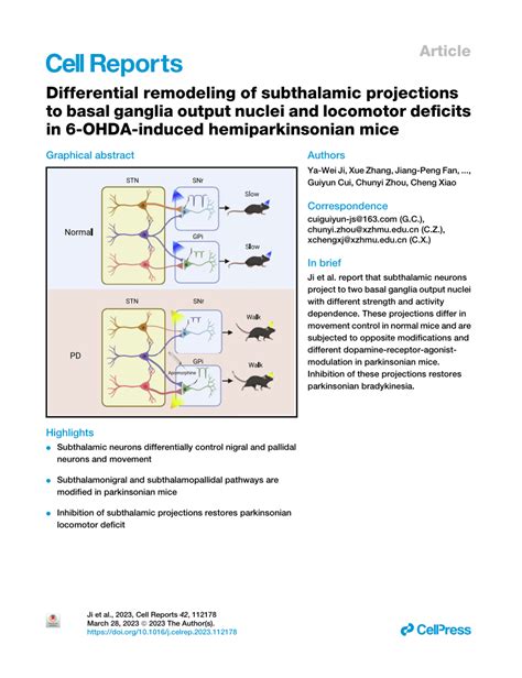 Pdf Differential Remodeling Of Subthalamic Projections To Basal