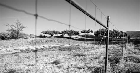 Kettle Valley Rail Trail Penticton British Columbia August 2024