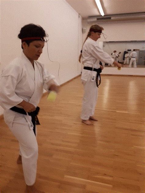 Mawashi Geri In Varianten Kim Dojo Zürich
