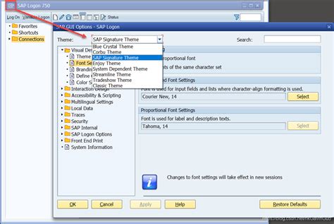 个性配置sap Gui的几个小技巧sap Gui Options Csdn博客