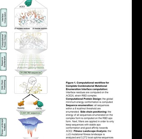 Figure 1 From Complete Combinatorial Mutational Enumeration Of A Protein Functional Site Enables