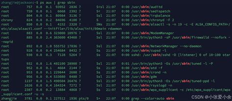 Linux操作系统 进程与服务管理检查操作系统进程和服务 Csdn博客