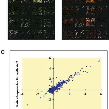 Evaluation Of The Microarray Analysis Download Scientific Diagram