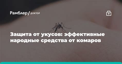 Защита от укусов эффективные народные средства от комаров Рамблер